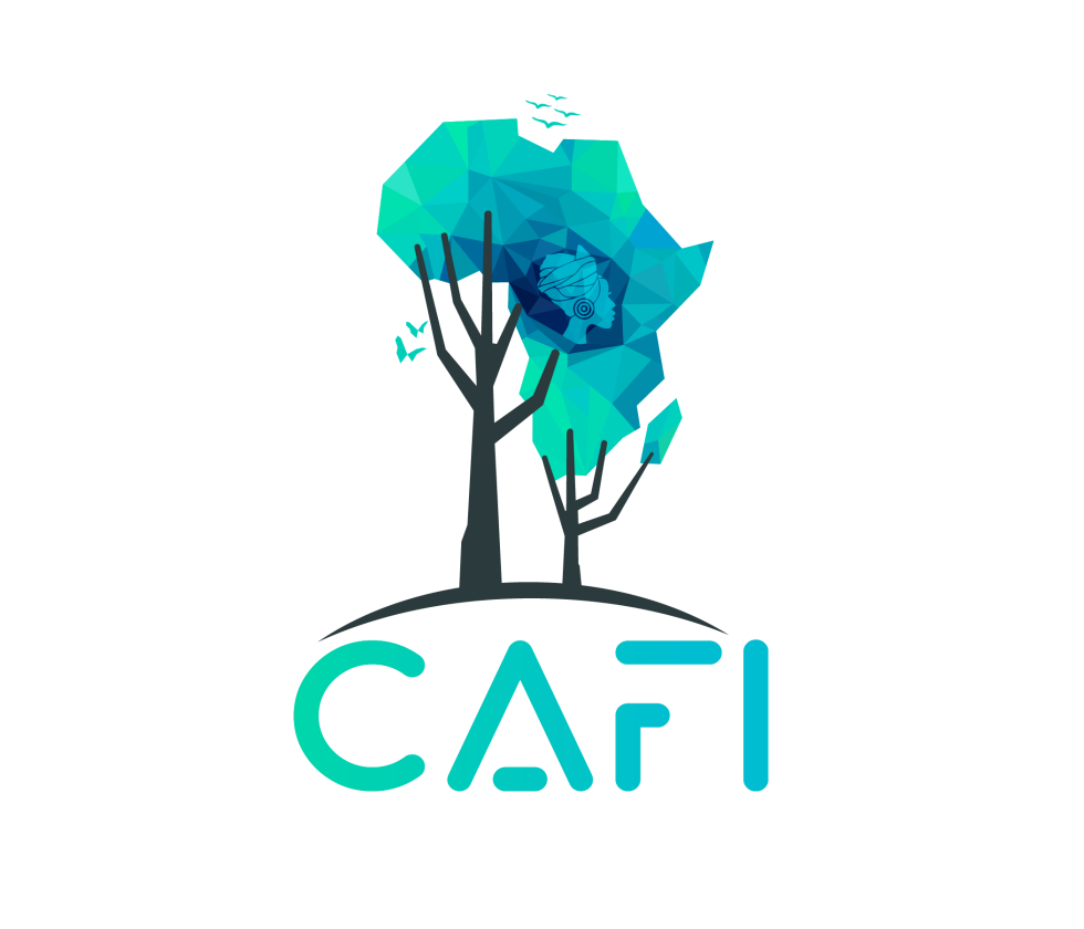 CAFI Partners