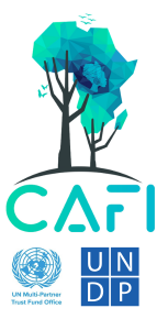 CAFI Secretariat
